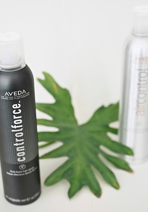 Marc Stephens Salon | Hair Extensions + Aveda | Des Moines, IA, USA