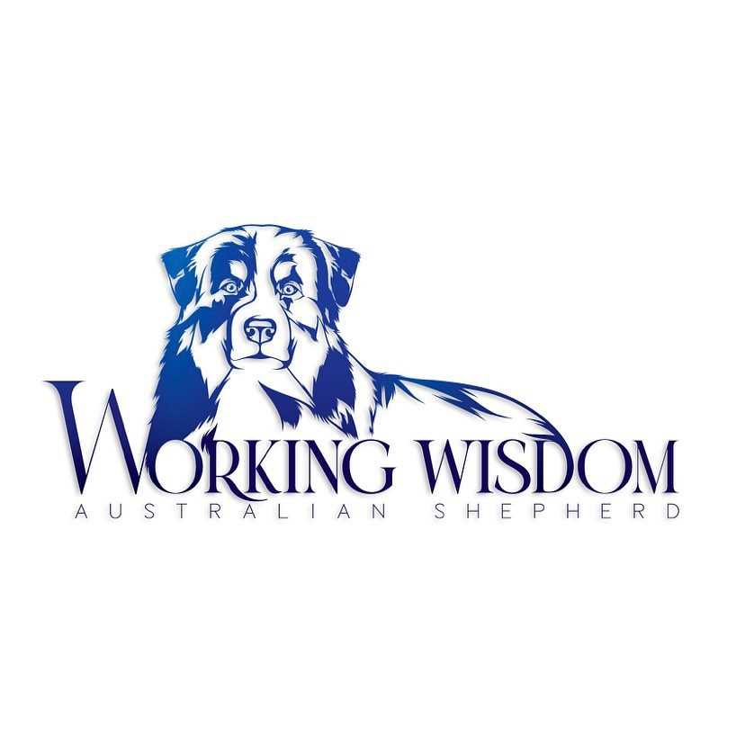 HOME | Working Wisdom