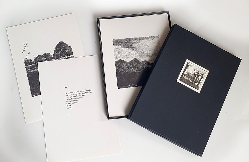 SIGNED FICTION! | Fox Lane Books