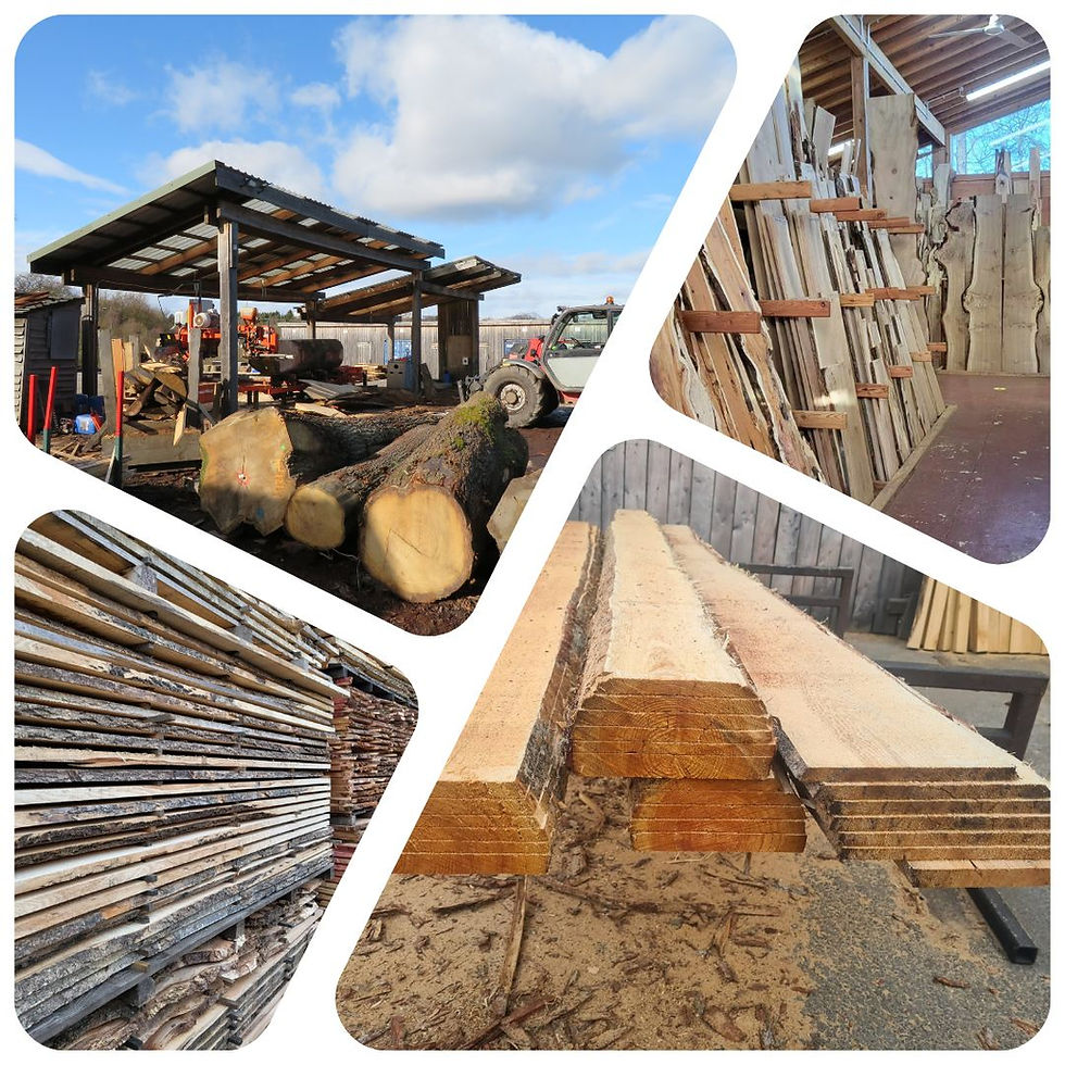 Scottish Wood | Locally Sourced Timber | Fresh Sawn Timber