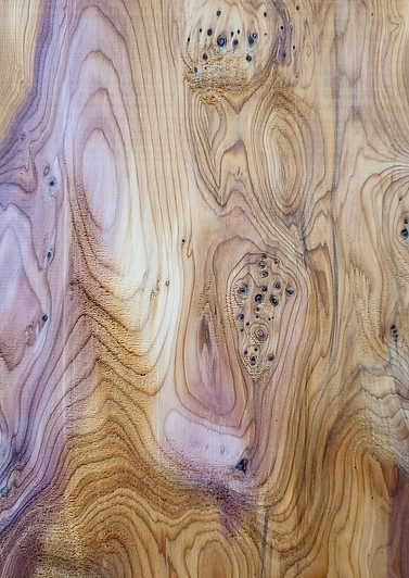 About Scottish Hardwoods | Scottish Wood