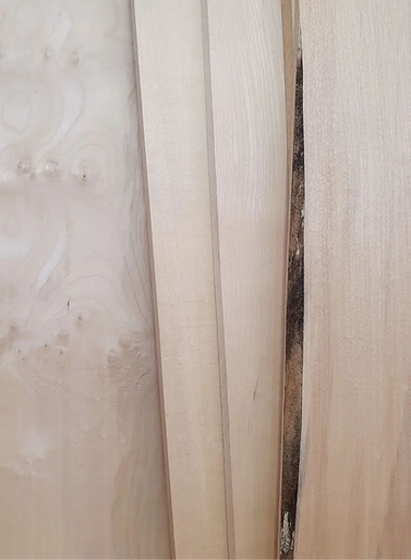 About Scottish Hardwoods | Scottish Wood