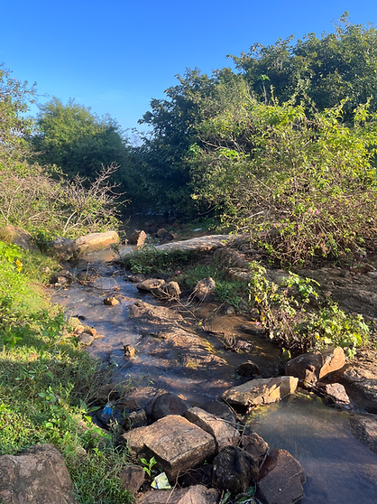 ambaji durga betta | bluebrowngreen