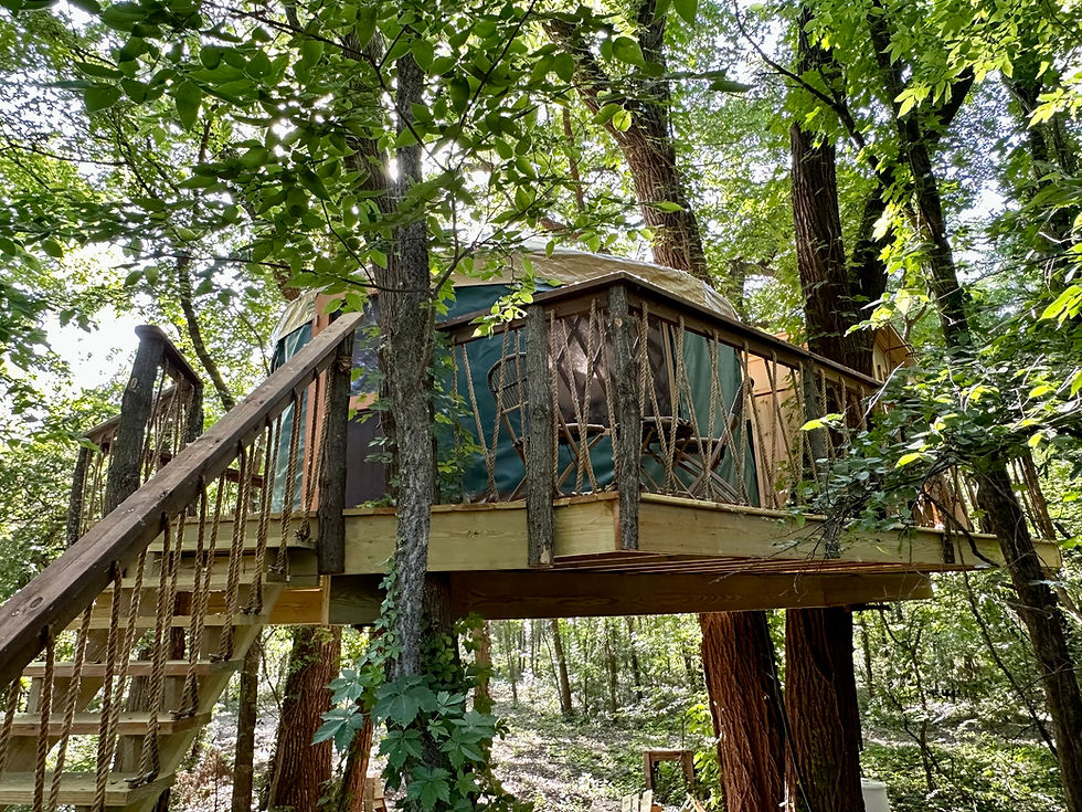 Rooms & Suites | Pulliam Cattle Co. and Treehouse Retreat