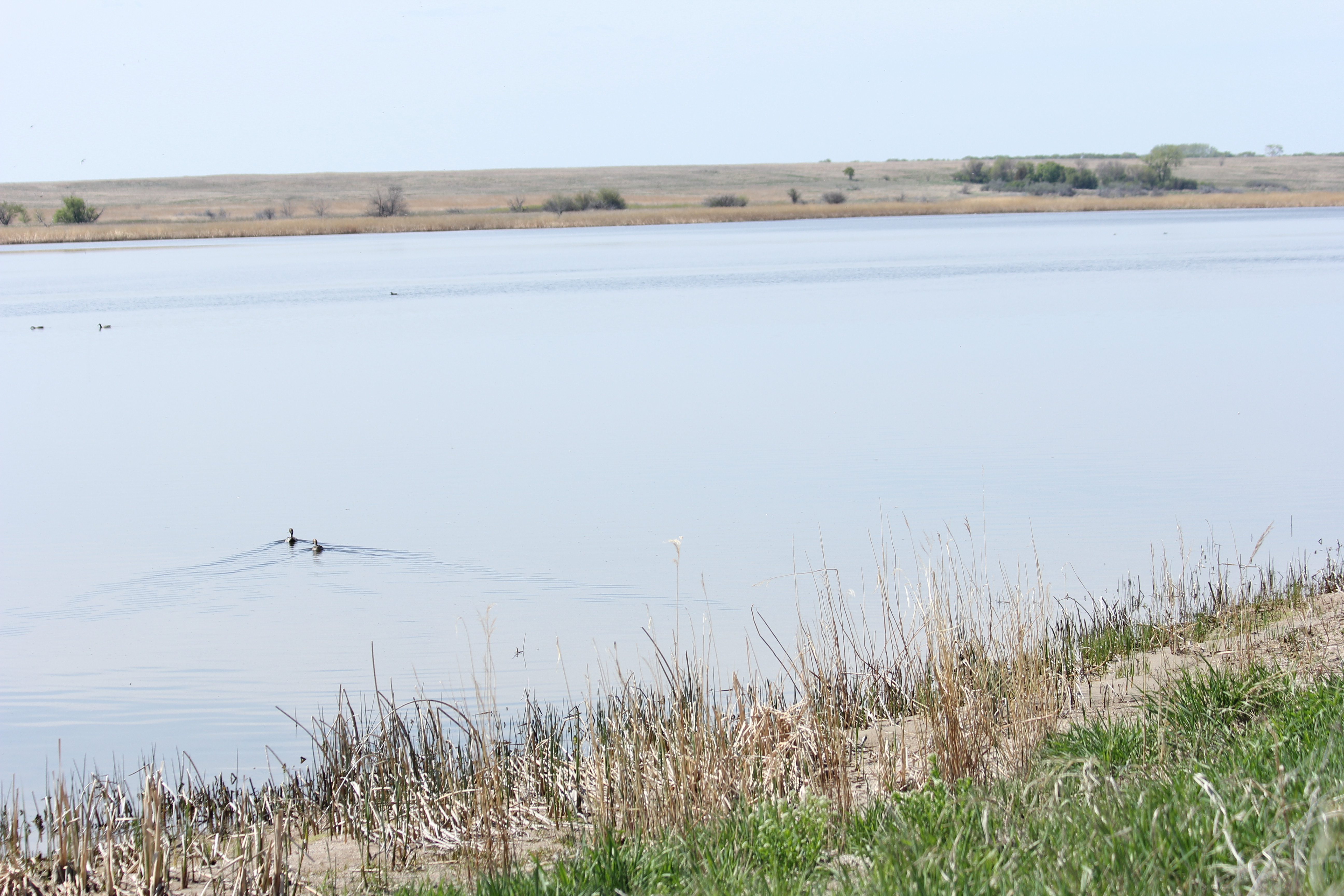 Mouse River Flood Protection Plan