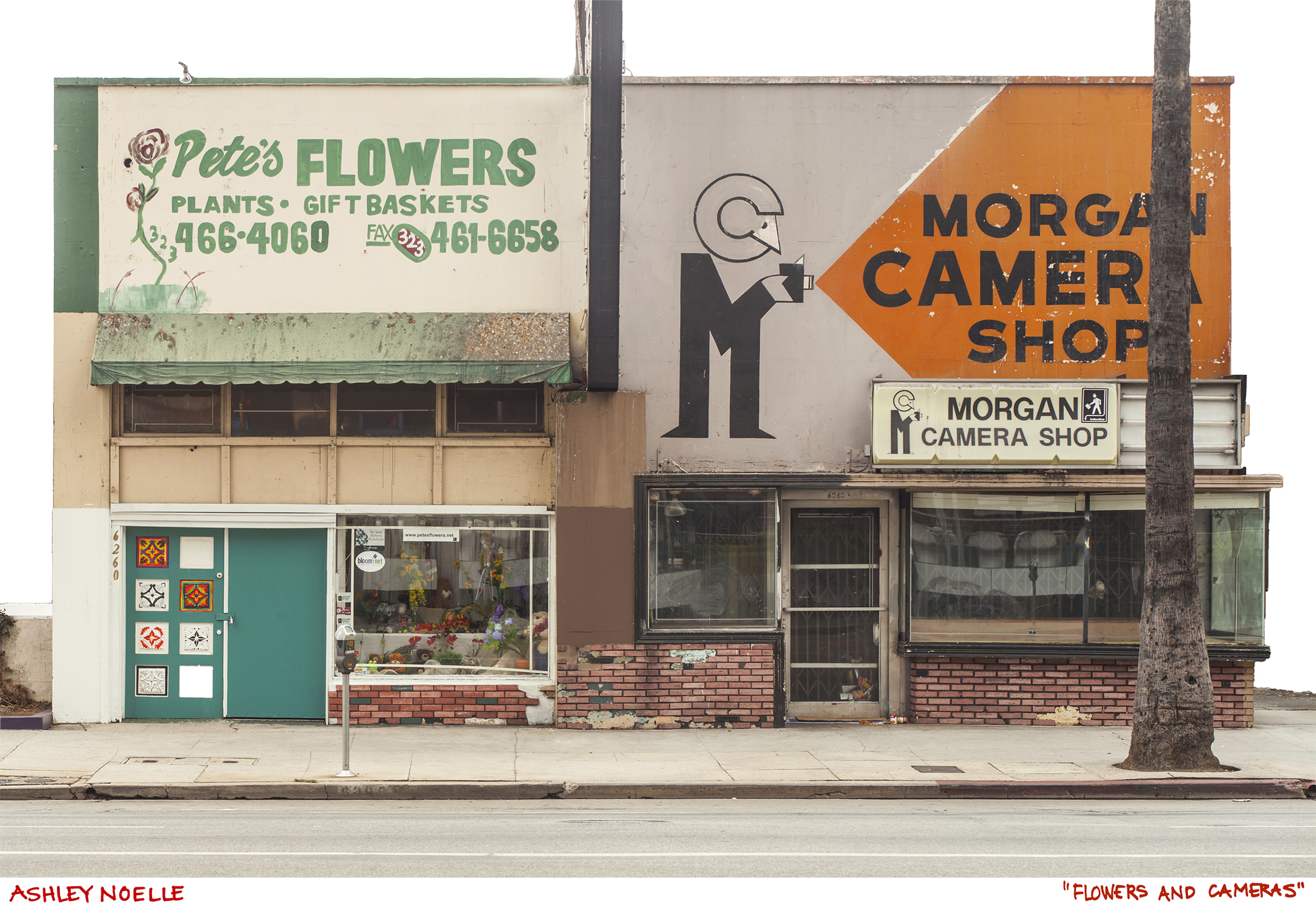 The curious case of Morgan Camera Shop as Hollywood continues to change.