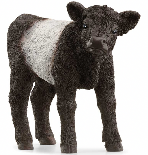 SCHLEICH GALLOWAY CALF | Rhosyn Farm & Stud
