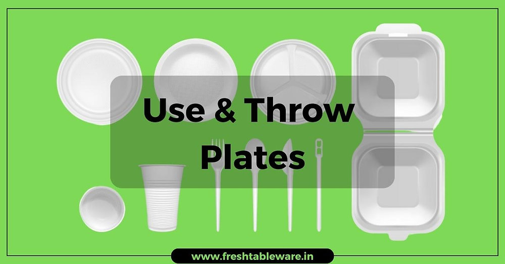 Shop Use and Throw Plates Online In India