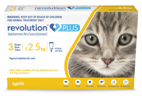 Revolution Plus for Cats