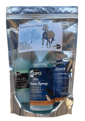 VetPro Cool Down Pack | Vet Online Co.
