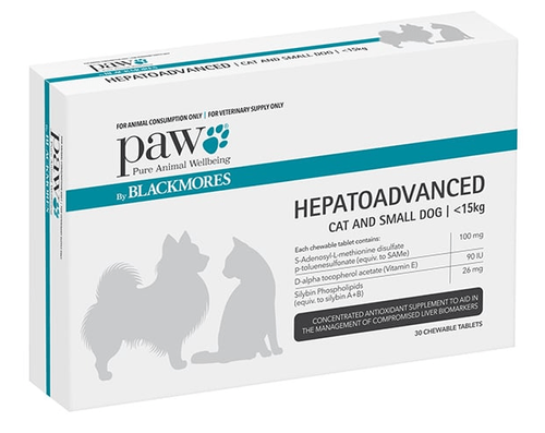PAW by Blackmores Hepatoadvanced Cat & Small Dog 60s | Vet Online Co.