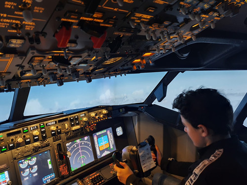 240 Minute Combined Virtual Flight Experience | Flight Simulators