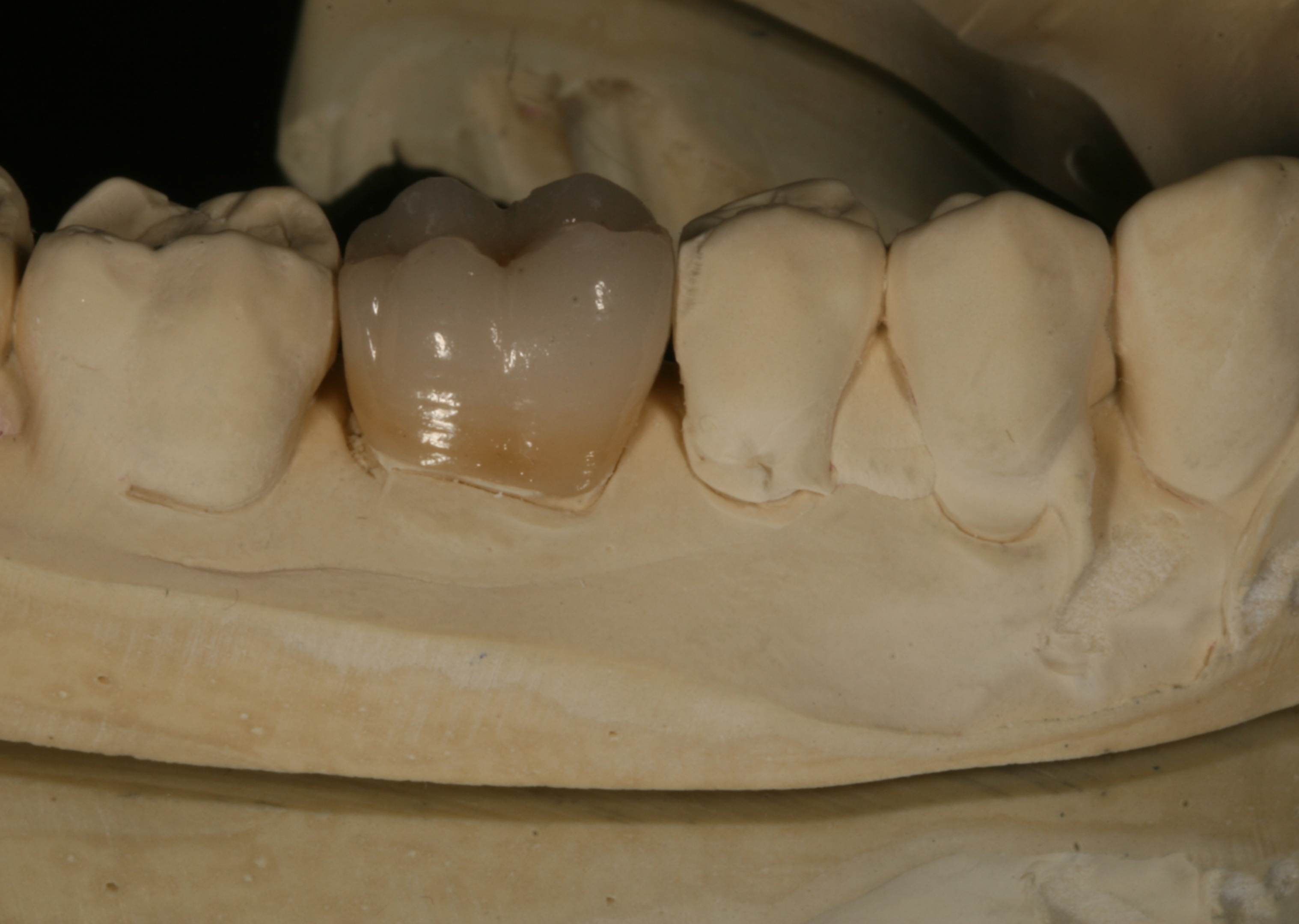 Baum Dental Studio, Inc., Home