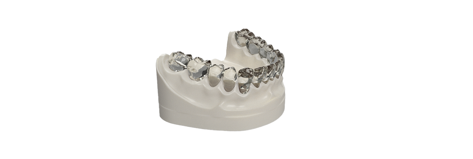 Jaw Models, Endoblock | IMD