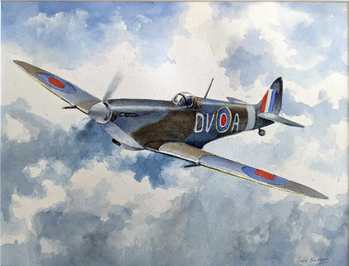 Spitfire V1 | Gallery Le Nuancier