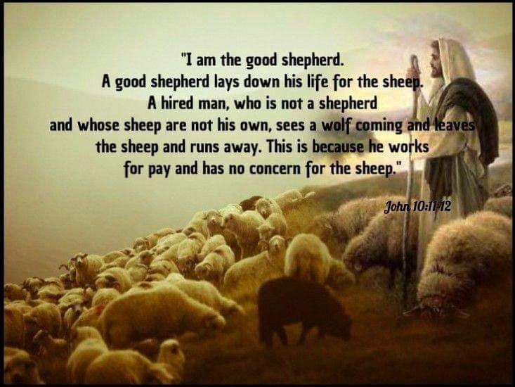 The Shepherd's Heart