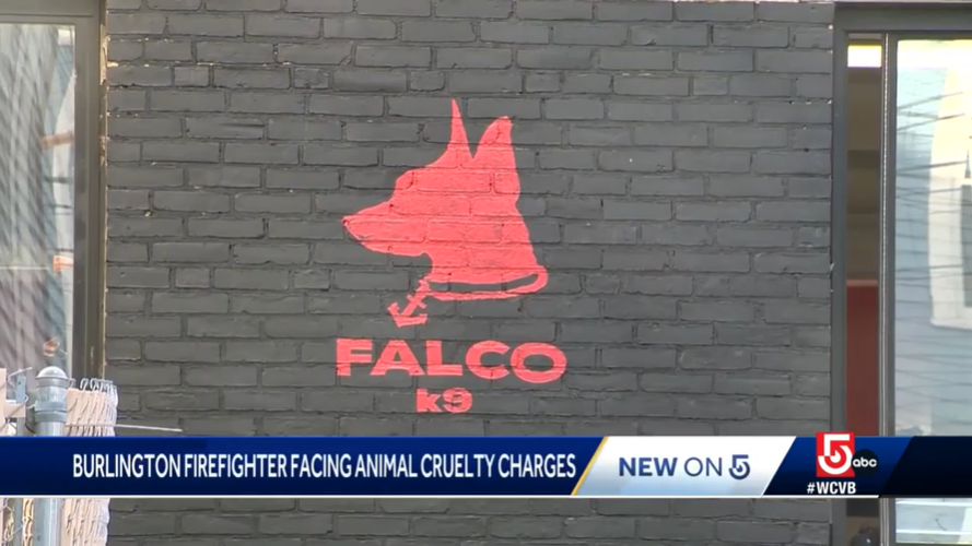 TYLER A. FALCONER, firefighter and owner of Falco K9, facing animal ...