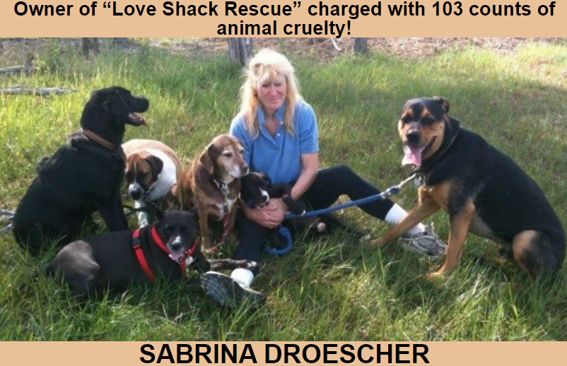 SABRINA DROESCHER, owner of “Love Shack Rescue” charged with 103 counts ...