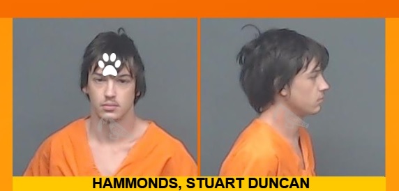 STUART DUNCAN HAMMONDS accused of killing dogs found running loose or ...
