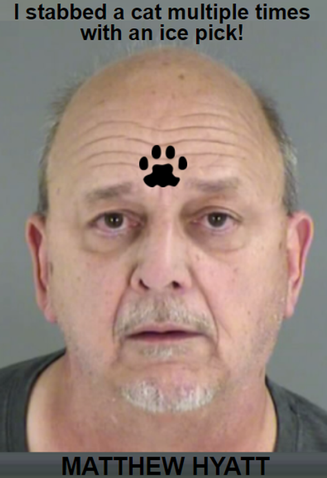 MATTHEW HYATT arrested for stabbing the family cat multiple times with ...