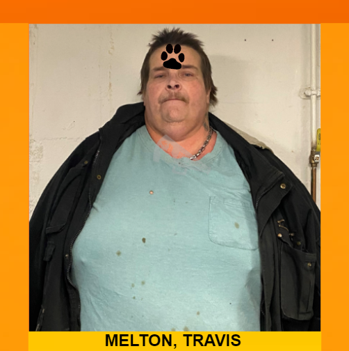 TRAVIS MELTON and JESSICA ALLEN arrested for abandoning a dog on the ...