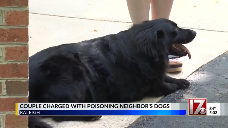 AGNES BAILEY GOLDSTON and JAMES DAVID GOLDSTON III accused of poisoning ...