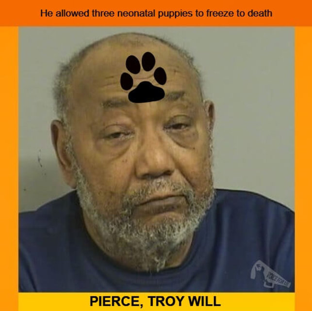 TROY WILL PIERCE arrested after he allowed three neonatal puppies to ...