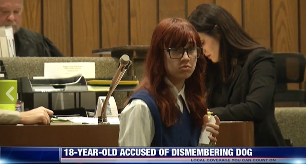KYOKO SMITH arrested for a grisly case of animal cruelty - Voice For Us