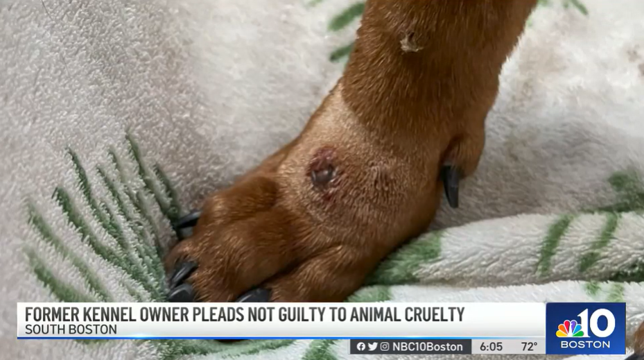 TYLER A. FALCONER, firefighter and owner of Falco K9, facing animal ...