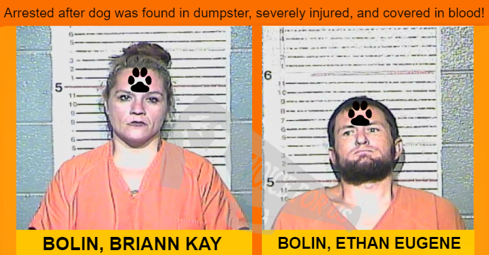 BRIANN KAY BOLIN and ETHAN EUGENE BOLIN arrested after dog found in ...