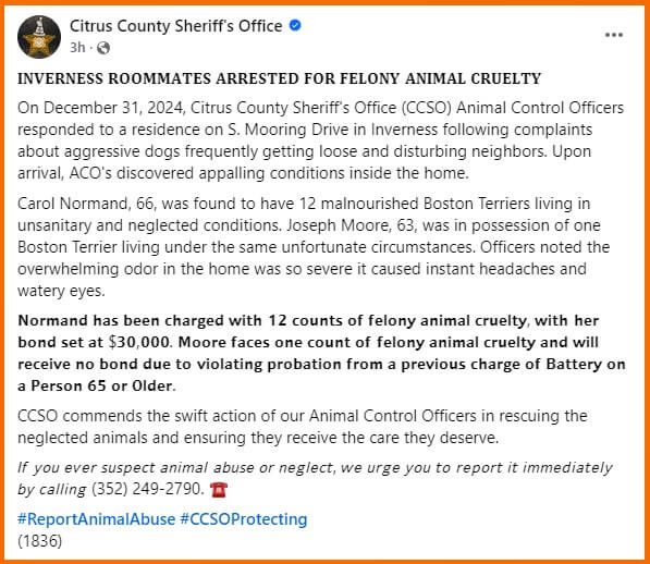 CAROL ULRICH NORMAND and JOSEPH ANDREW MOORE arrested - More than a ...