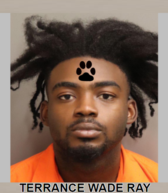 TERRANCE WADE RAY charged with animal cruelty after Shih Tzu found in a ...