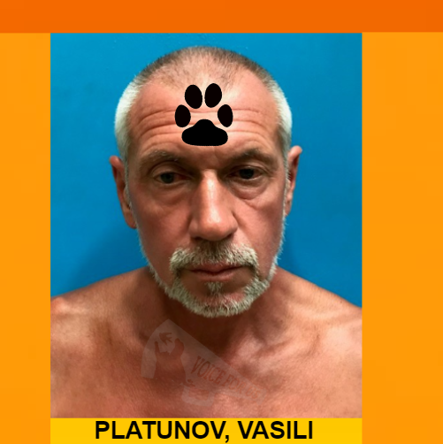 VASILI PLATUNOV and OKSANA DMITRIEVNA HIGGINS arrested for felony ...