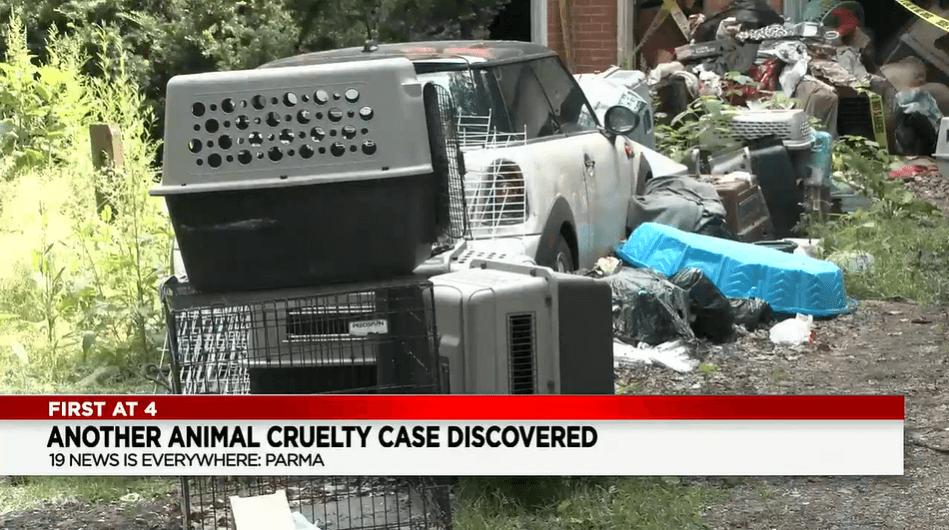 BARBARA A. WIBLE, founder of Canine Lifeline, faces charges - Dead dogs ...