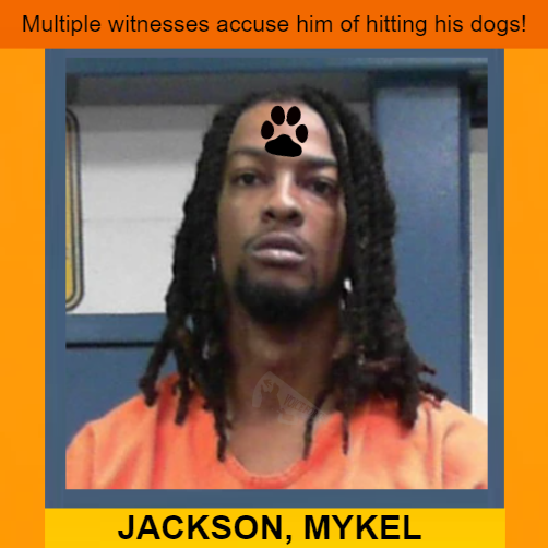 MYKEL JACKSON arrested after multiple reports accused him of hitting ...