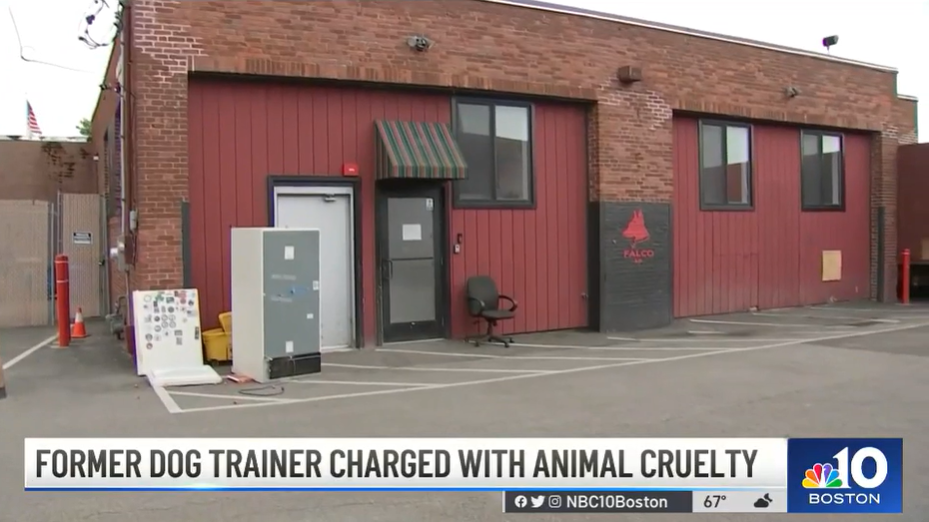 TYLER A. FALCONER, firefighter and owner of Falco K9, facing animal ...