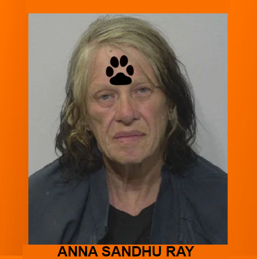 ANNA SANDHU RAY arrested after months of investigating a hoarding ...