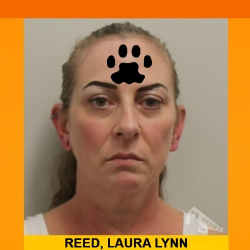 LAURA LYNN REED arrested after fifteen cats were found dead in her ...