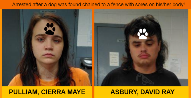 CIERRA MAYE PULLIAM and DAVID RAY ASBURY arrested - Dog found ...