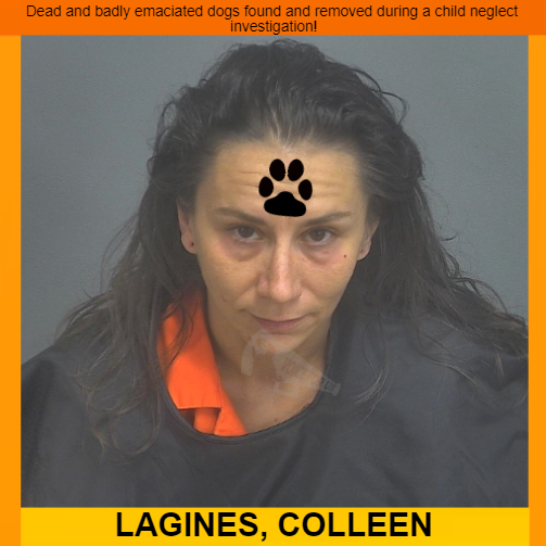 COLLEEN LAGINES arrested – Dead and badly emaciated dogs found during a ...