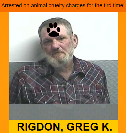 GREG K. RIGDON, repeat offender, arrested for animal cruelty for the ...