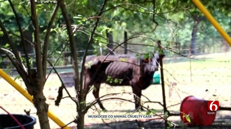LINDSEY RAE BRASHEAR and KASEY WAYNE CLAY arrested as part of an animal ...