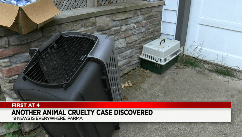 BARBARA A. WIBLE, founder of Canine Lifeline, faces charges - Dead dogs ...
