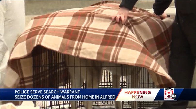 BRENDA MACKENZIE accused of trying to run an unlicensed shelter out of ...