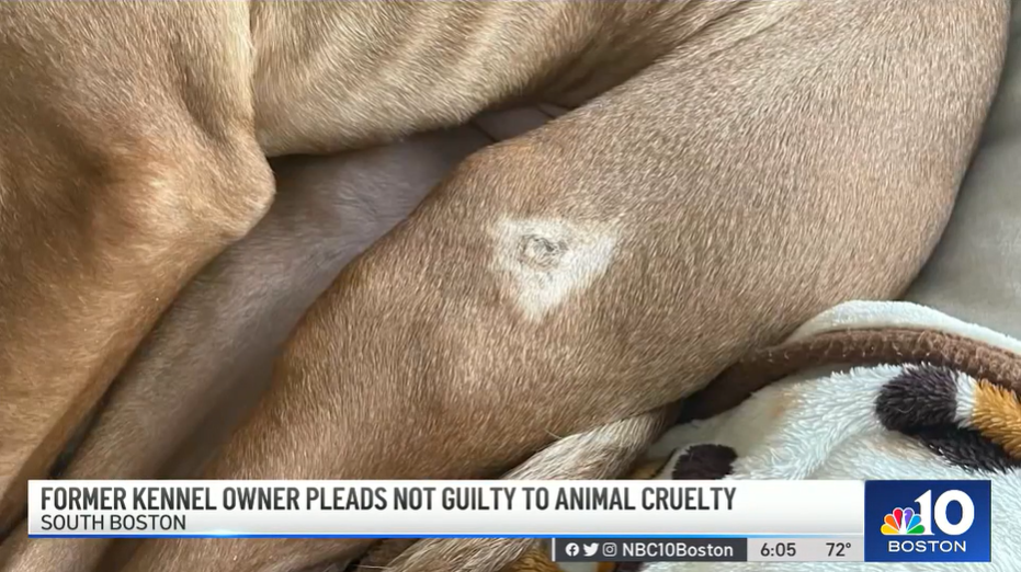 TYLER A. FALCONER, firefighter and owner of Falco K9, facing animal ...