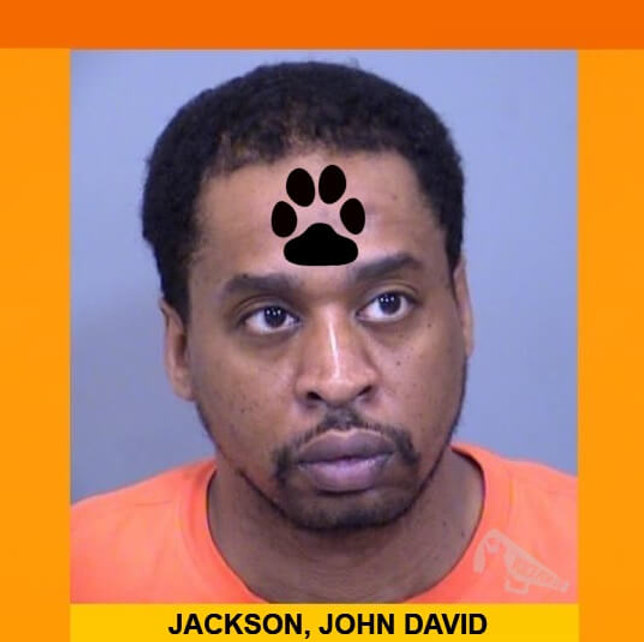 JOHN DAVID JACKSON, backyard breeder, arrested – Three dogs found dead ...