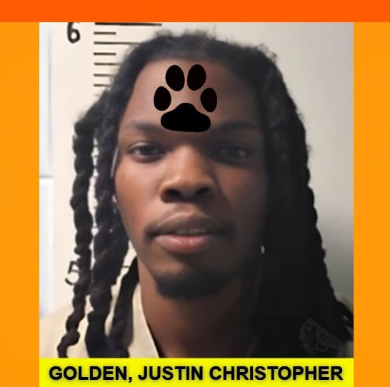 JUSTIN CHRISTOPHER GOLDEN arrested after an investigation into ...