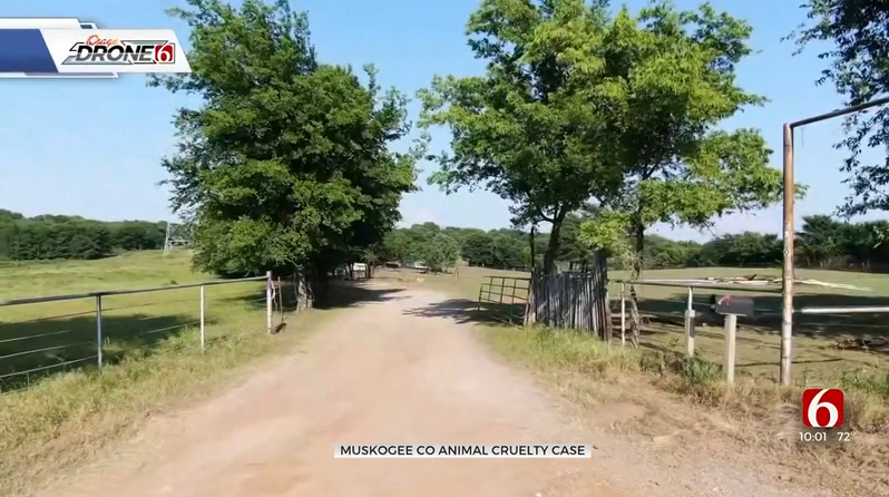 LINDSEY RAE BRASHEAR and KASEY WAYNE CLAY arrested as part of an animal ...