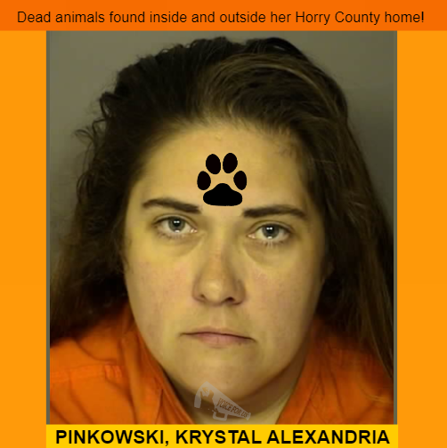 KRYSTAL ALEXANDRIA PINKOWSKI arrested after dead animals were found ...