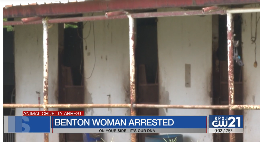 SANDRA BLACKMON DRISCOLL arrested after horses were found dead and ...